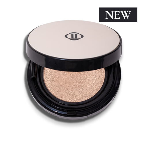 Blur Finish Cushion 2 Colors Dinto